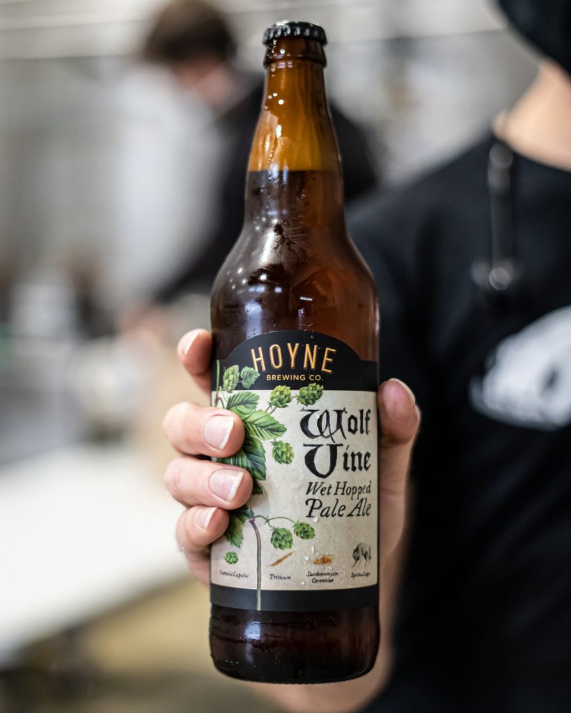 Fresh Hop Craft Beers to Enjoy This Fall in B.C.